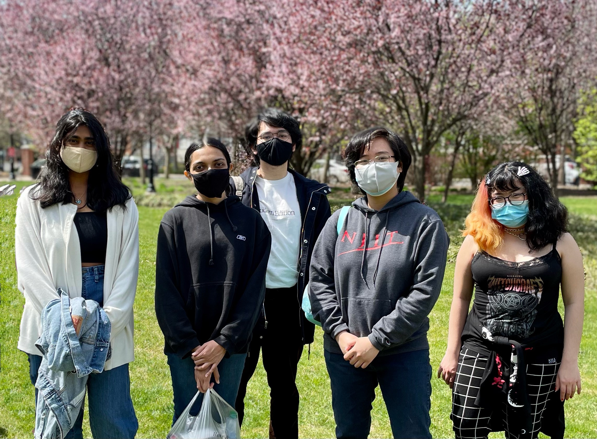 Cherry blossoms – SOCIAL X LAB